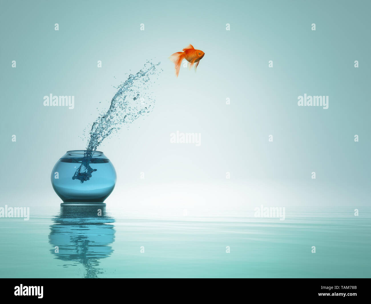 Goldfish bowl jump hi-res stock photography and images - Alamy
