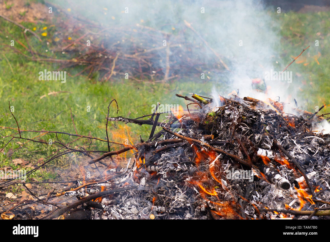 Pile tree branches burning hi-res stock photography and images - Alamy