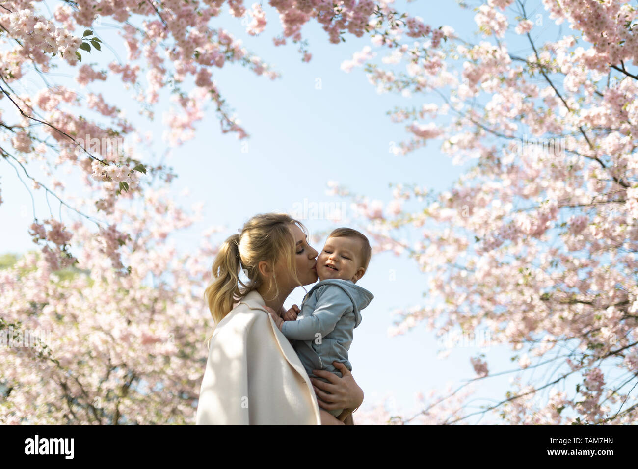 Young mother mom holding her little baby son boy child under blossoming ...