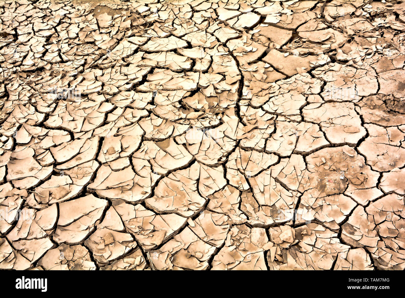 Cracked parched earth in a field Stock Photo - Alamy