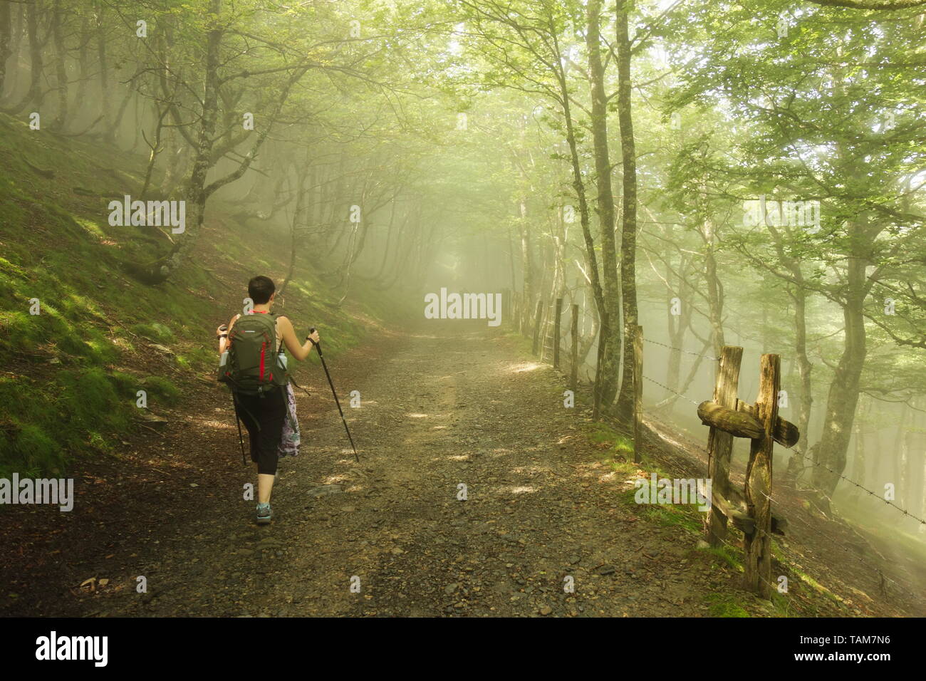 a woman walking into the mist Stock Photo - Alamy