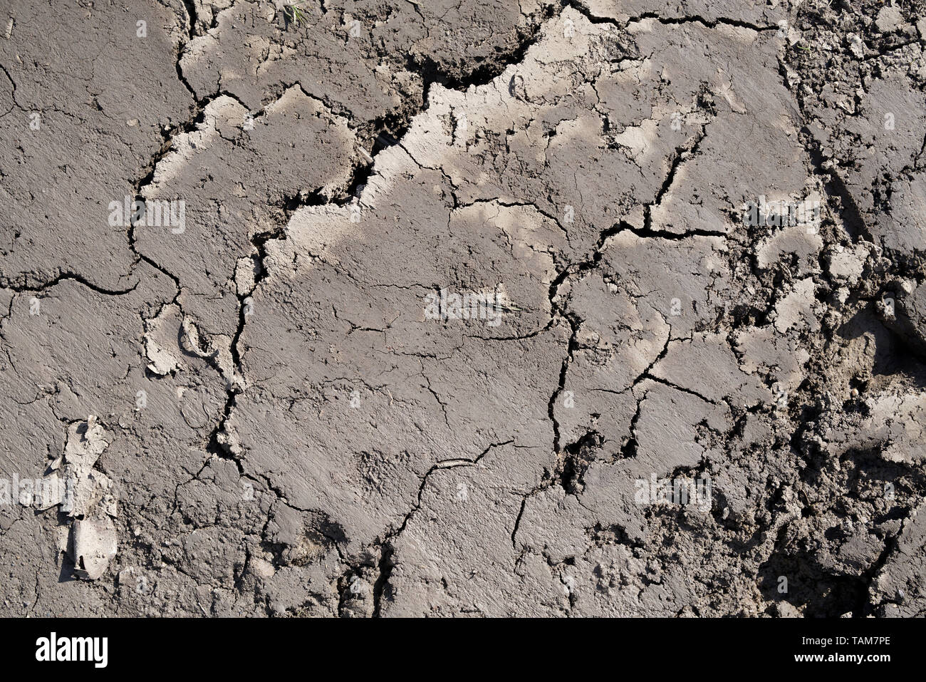Parched earth hi-res stock photography and images - Alamy