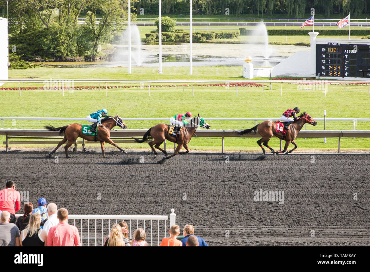 Horses and jockeys racing to the finish line at the Arlington ...