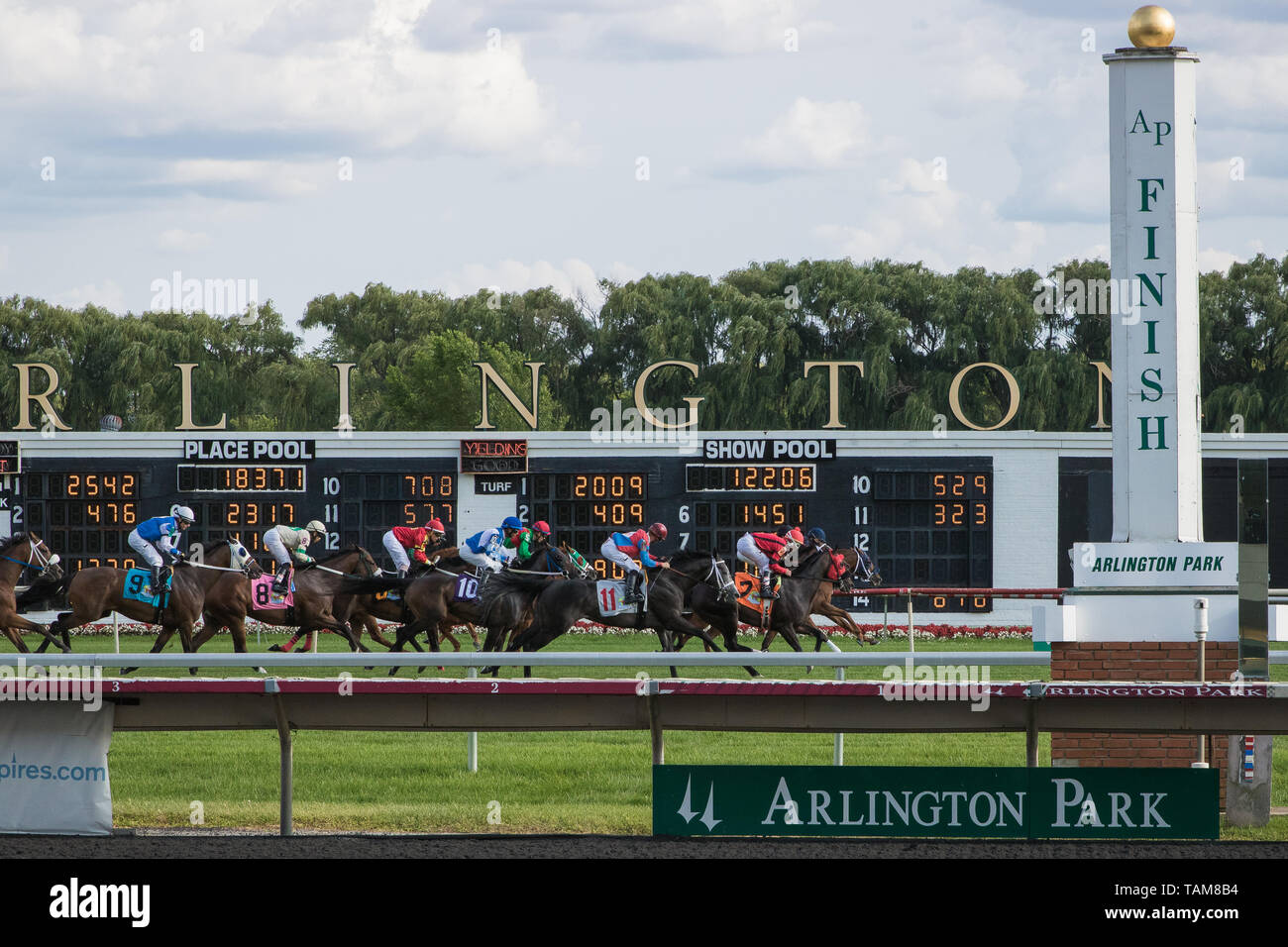 Horses and jockeys racing to the finish line at the Arlington ...