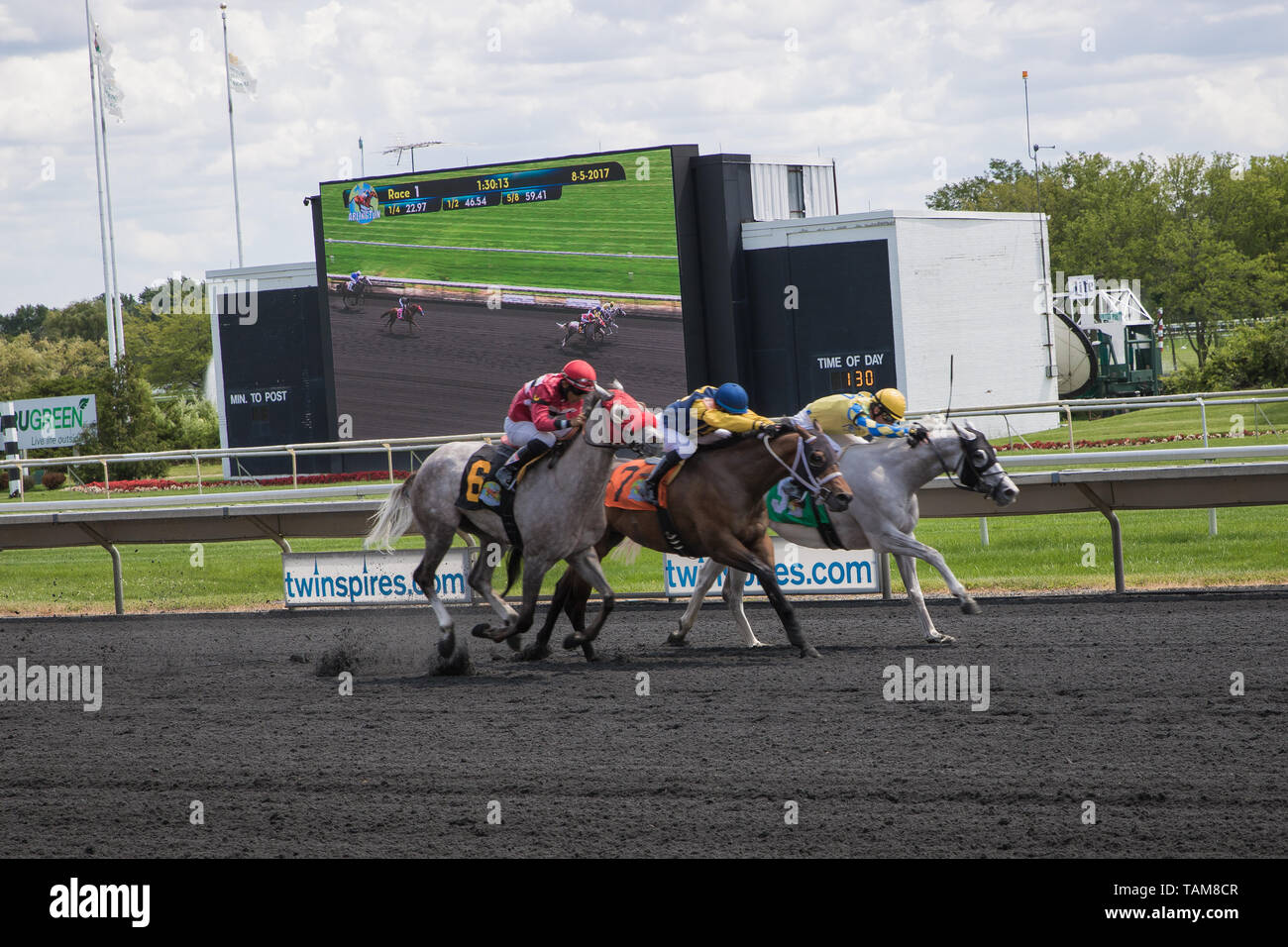 Horses and jockeys racing to the finish line at the Arlington ...