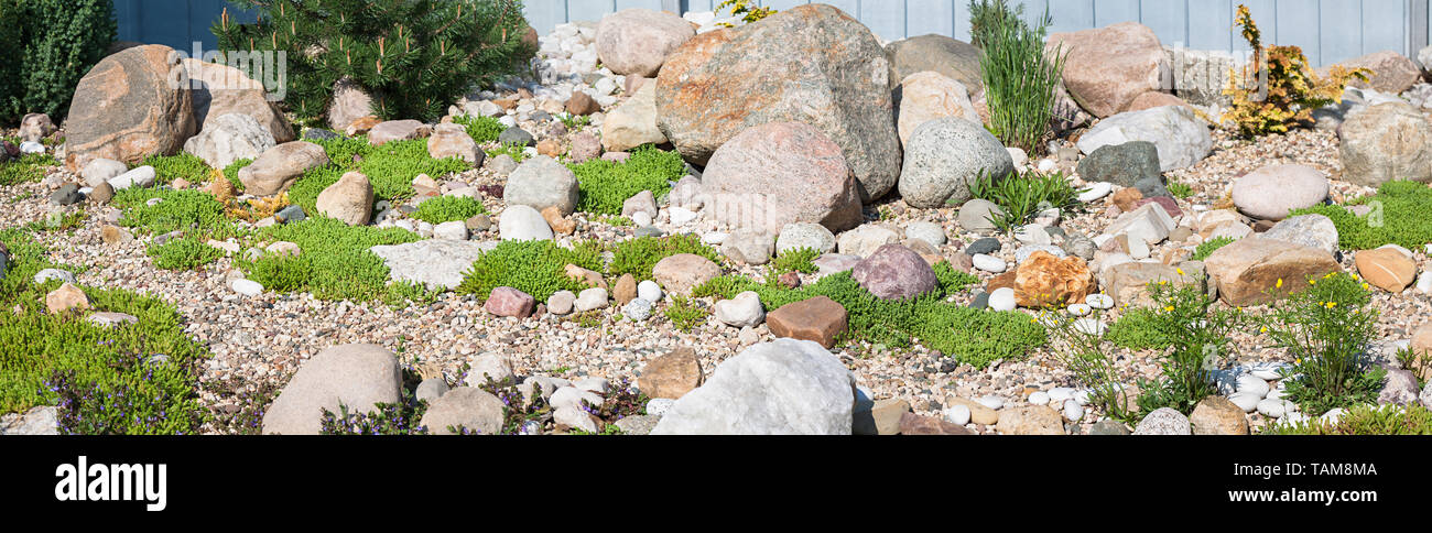 panorama of rock garden. gardening background panoramic view. gardener ...