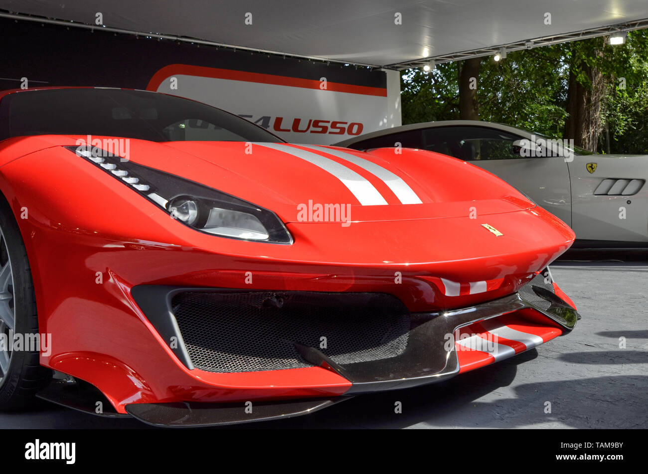 Turin, Piedmont, Italy. June 2018. At the Valentino park, the motor ...