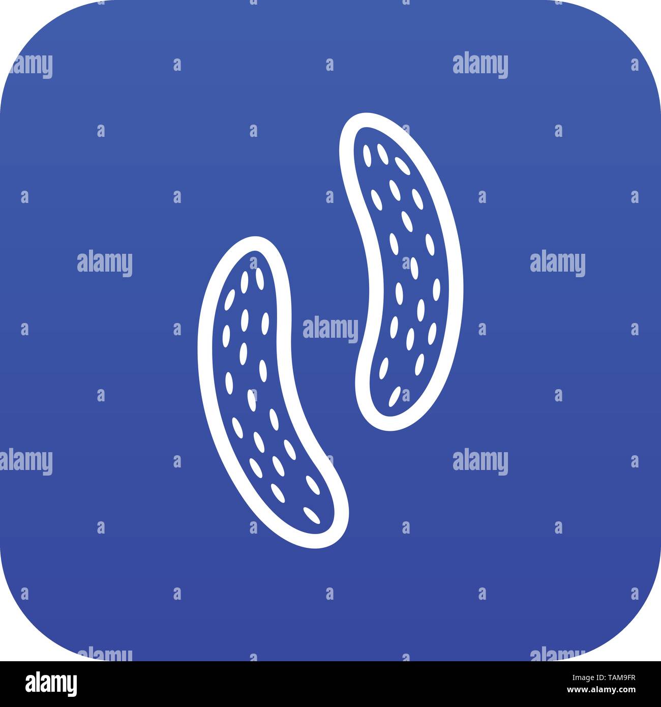 Epithelial cell icon digital blue Stock Vector Image & Art - Alamy