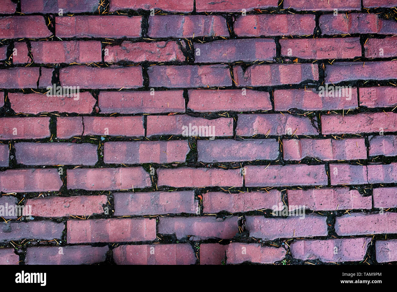 Stone rock brick block pattern texture in normal light Stock Photo - Alamy