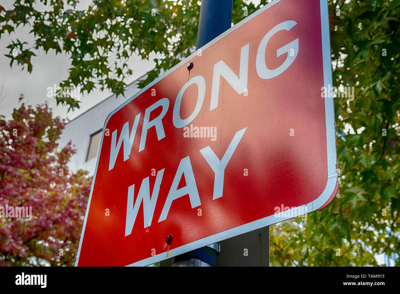 Red wrong way sign on a post with trees Stock Photo - Alamy