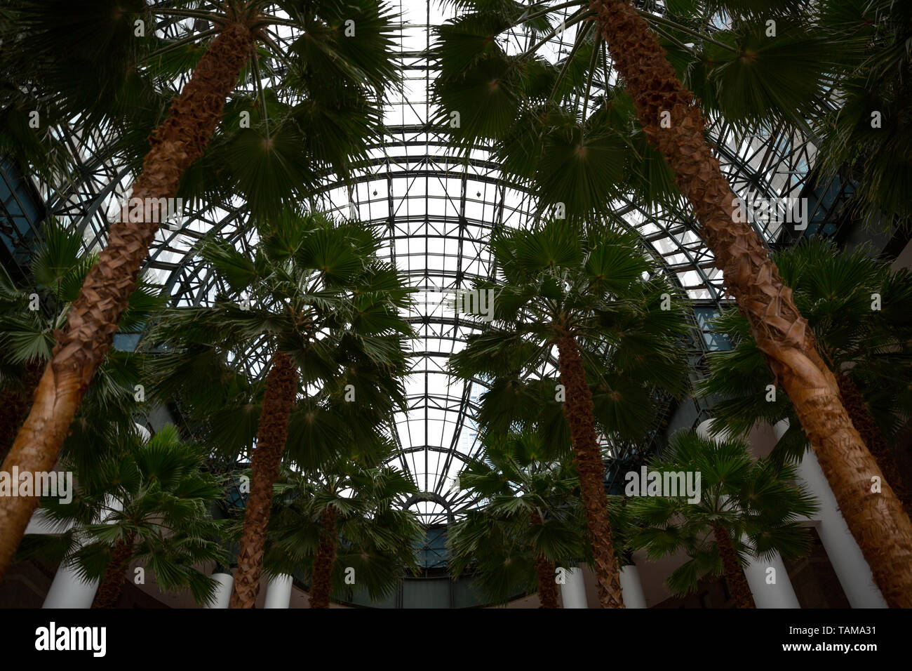 Brookfield place winter garden world hi-res stock photography and ...