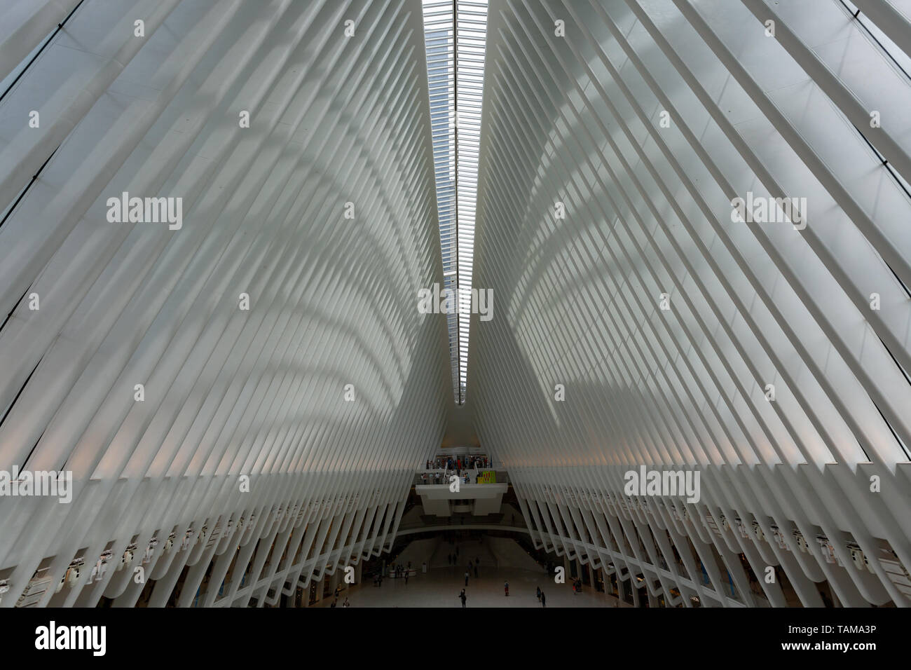 Interior of World Trace Center Oculus Transportation Hub - New York ...
