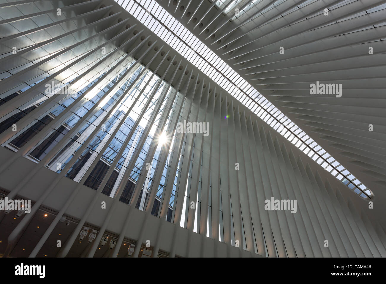 Interior of World Trace Center Oculus Transportation Hub - New York ...