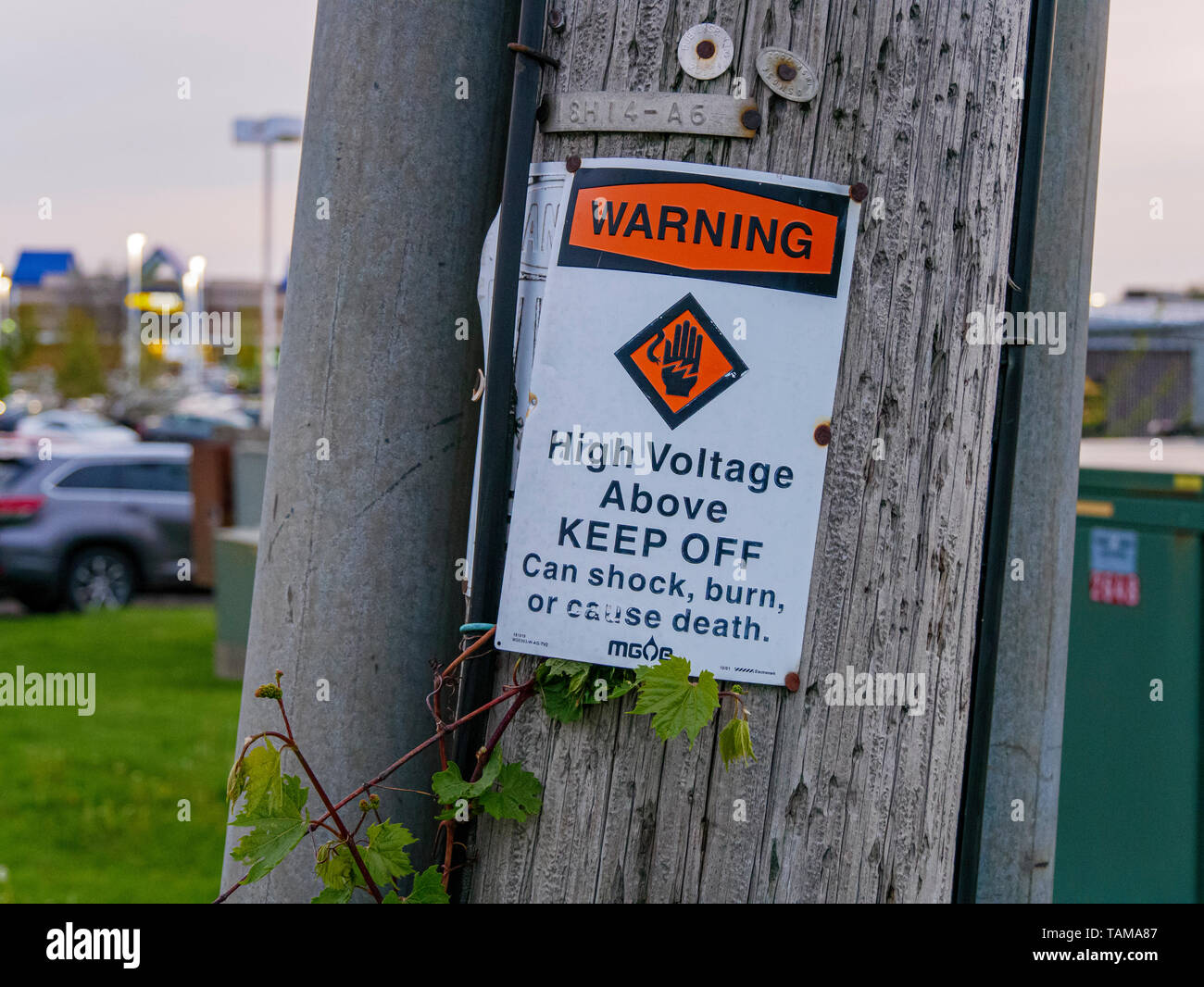 High voltage warning sign on utility pole Stock Photo - Alamy