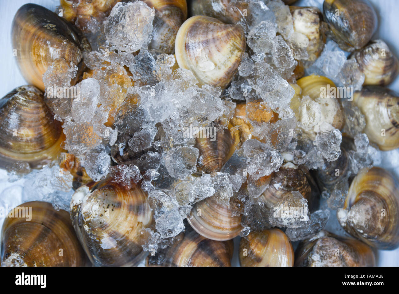 Clam shell bucket hi-res stock photography and images - Alamy