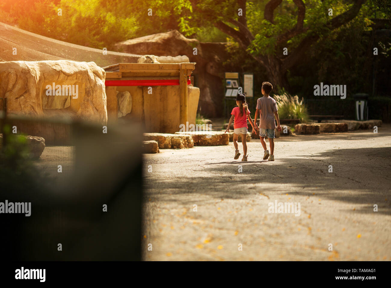 boy and girl walk around the zoo Stock Photo - Alamy