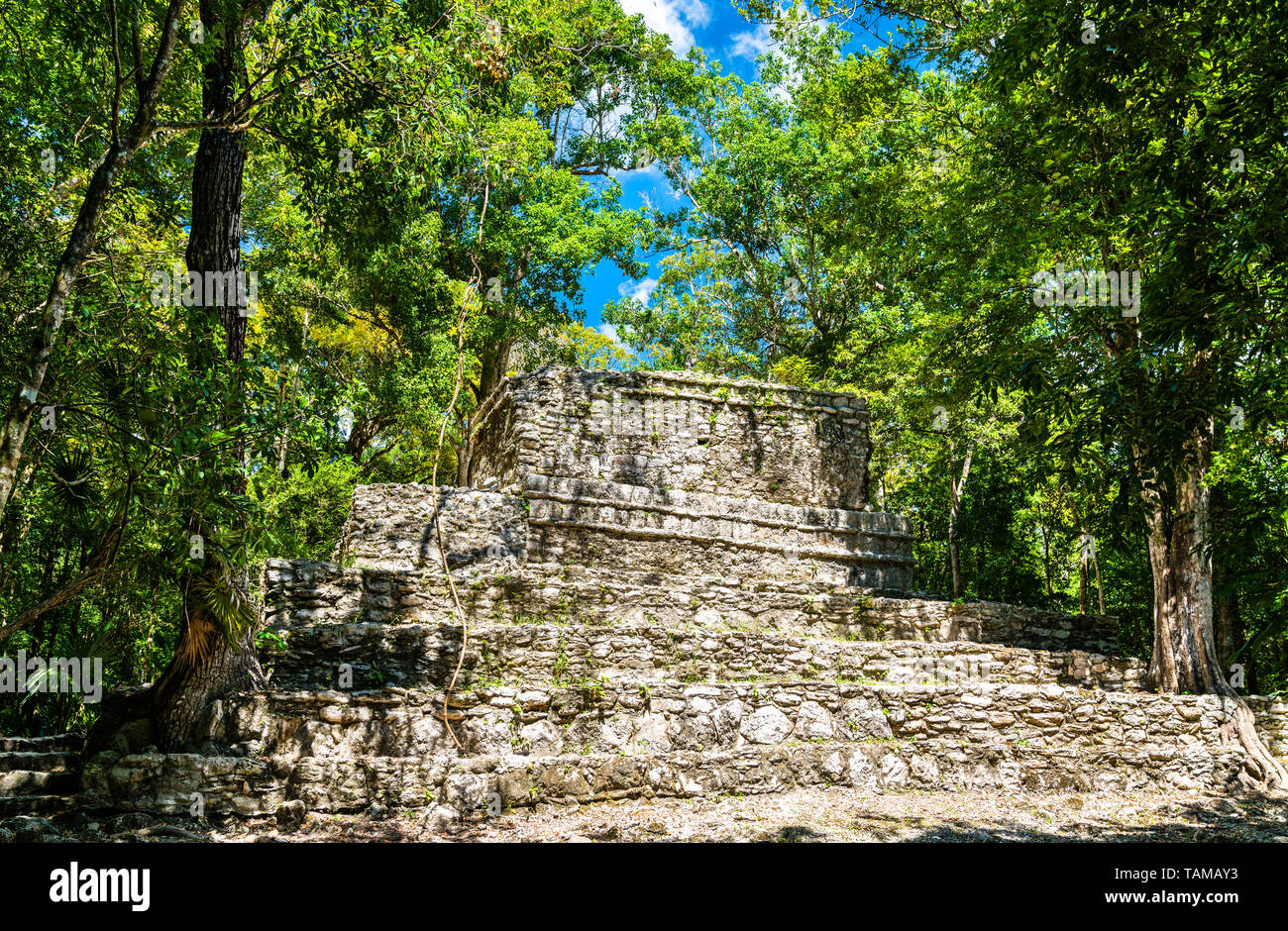 Ancient Mayan Pyramid at Muyil in Quintana Roo, Mexico Stock Photo - Alamy