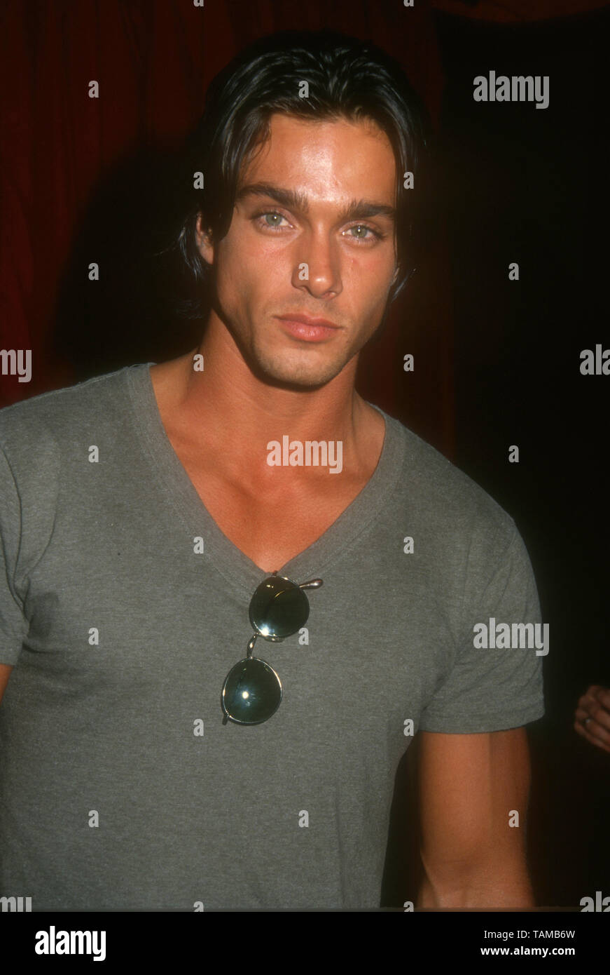 Hollywood, California, USA 4th May 1994 Model Beiron Andersson attends ...