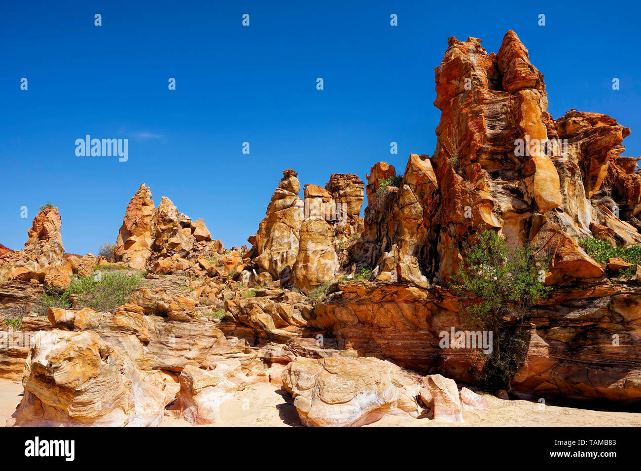 pristine untouched rugged coastline lined by the heavenly blue Indian ...