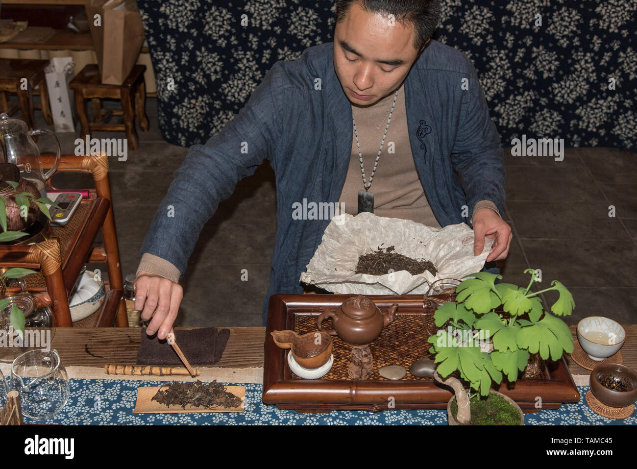 Chinese Tea Ceremony. Male server prepares the traditional tea ...