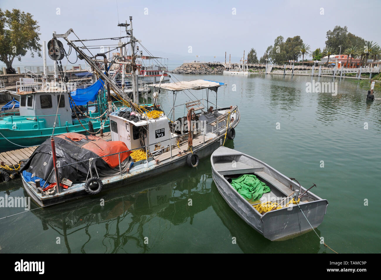 Israel, Kibbutz Ein Gev (Established 1937) on the shores of the Sea of ...