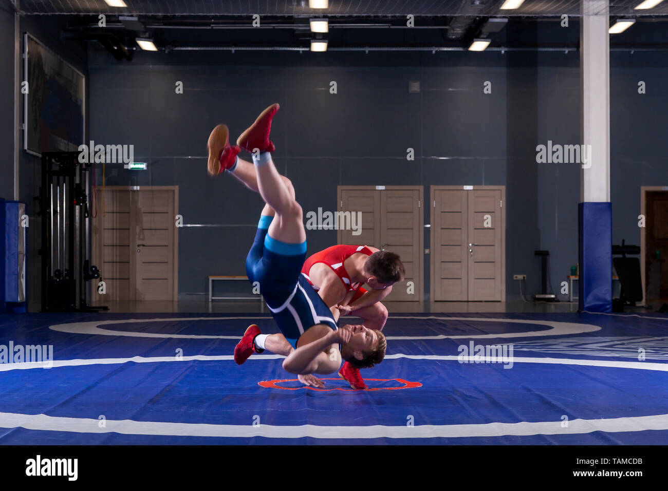 Two strong wrestlers in blue and red wrestling tights are wrestlng and ...