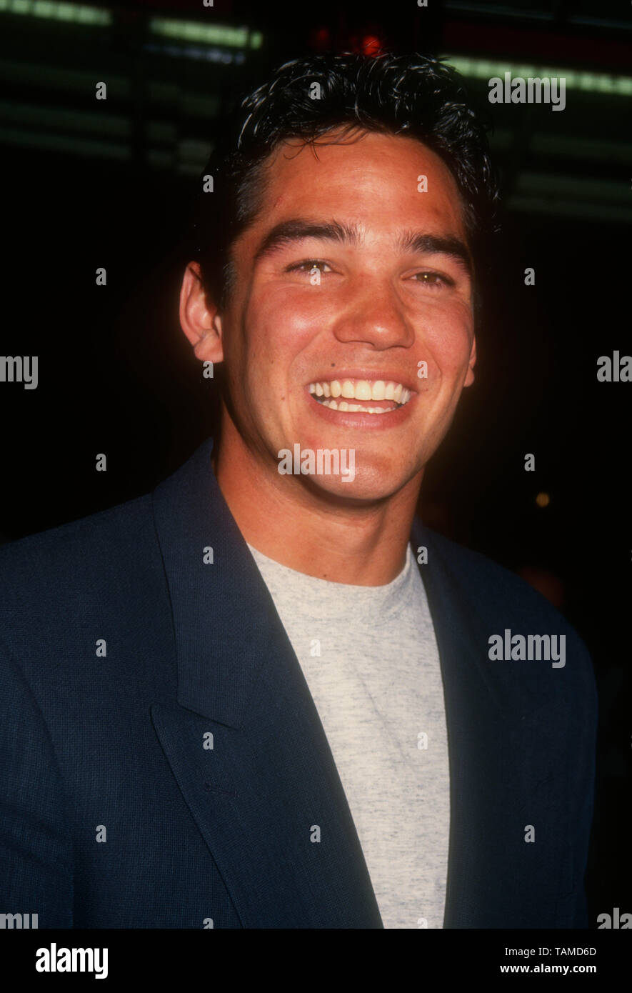 Hollywood, California, USA 4th May 1994 Actor Dean Cain attends 'APLA ...