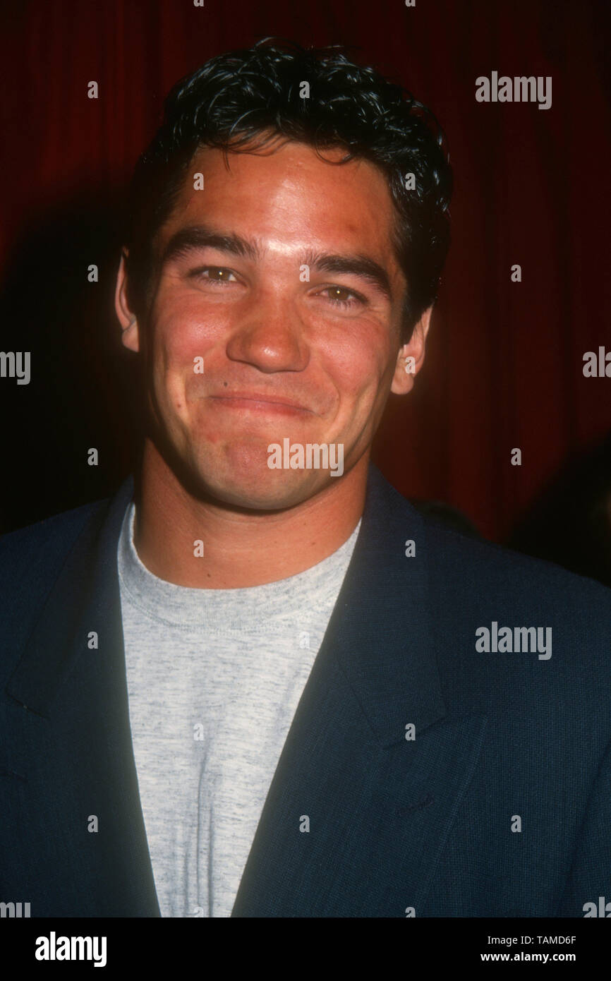 Hollywood, California, USA 4th May 1994 Actor Dean Cain attends 'APLA ...