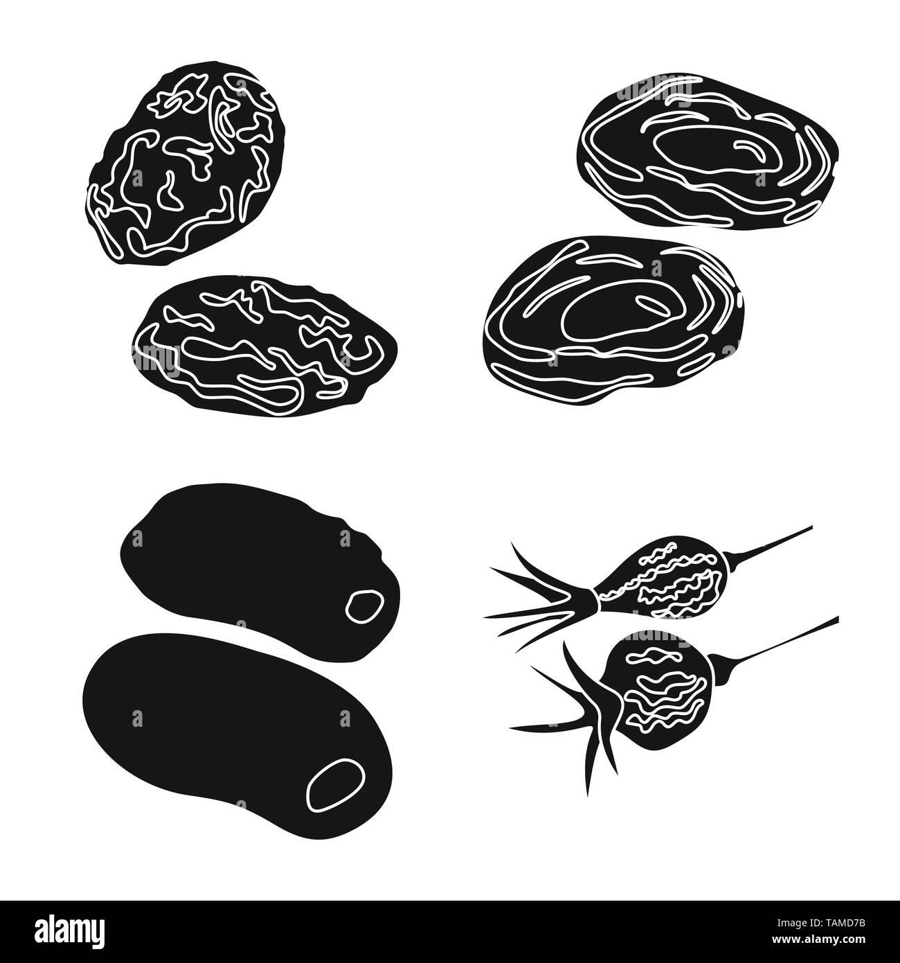 Vector illustration of vitamin and nature sign. Set of vitamin and ...