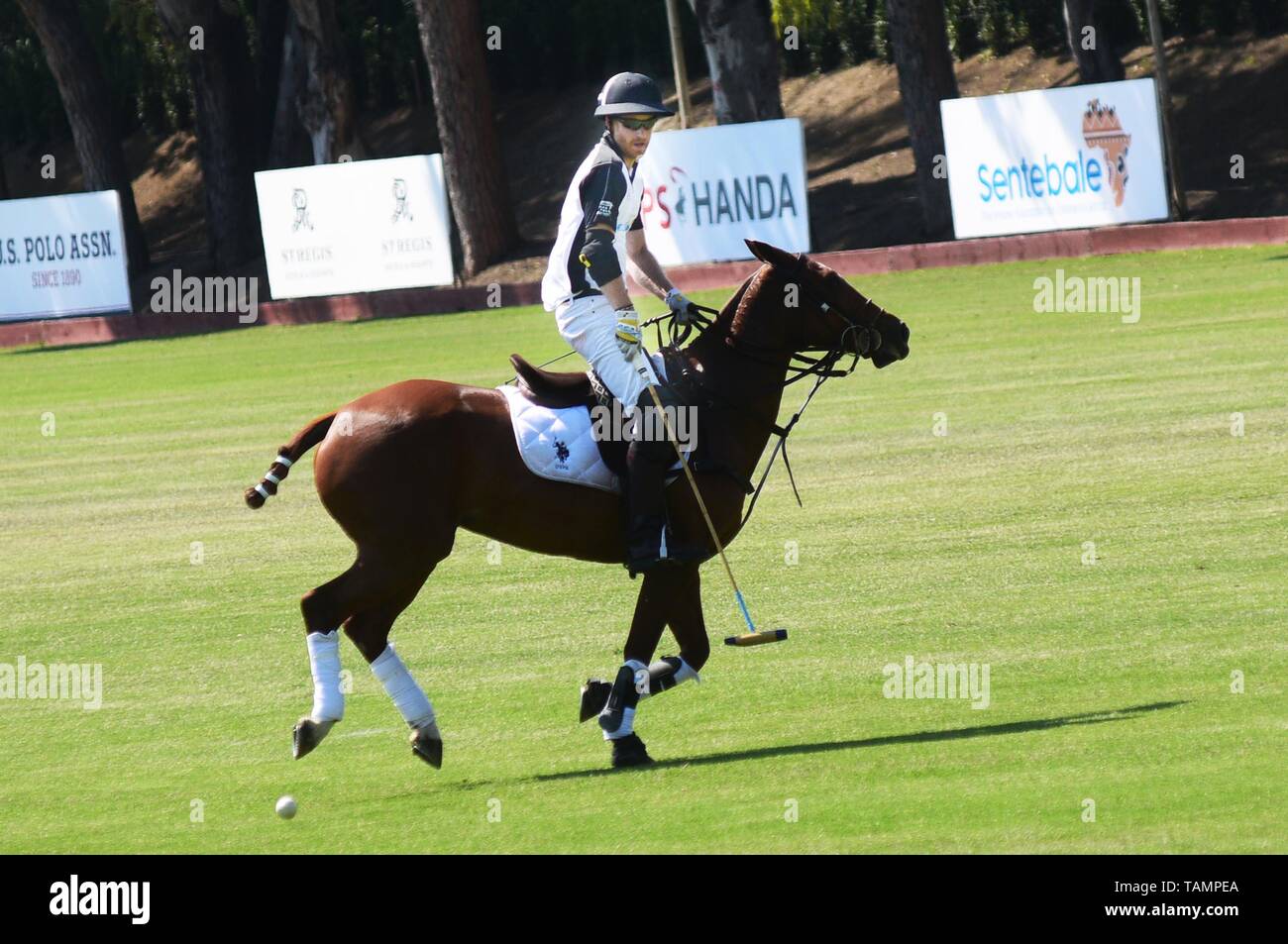 Rome, Prince Harry at the Roma Polo Club plays the Sentebale Isps Handa ...