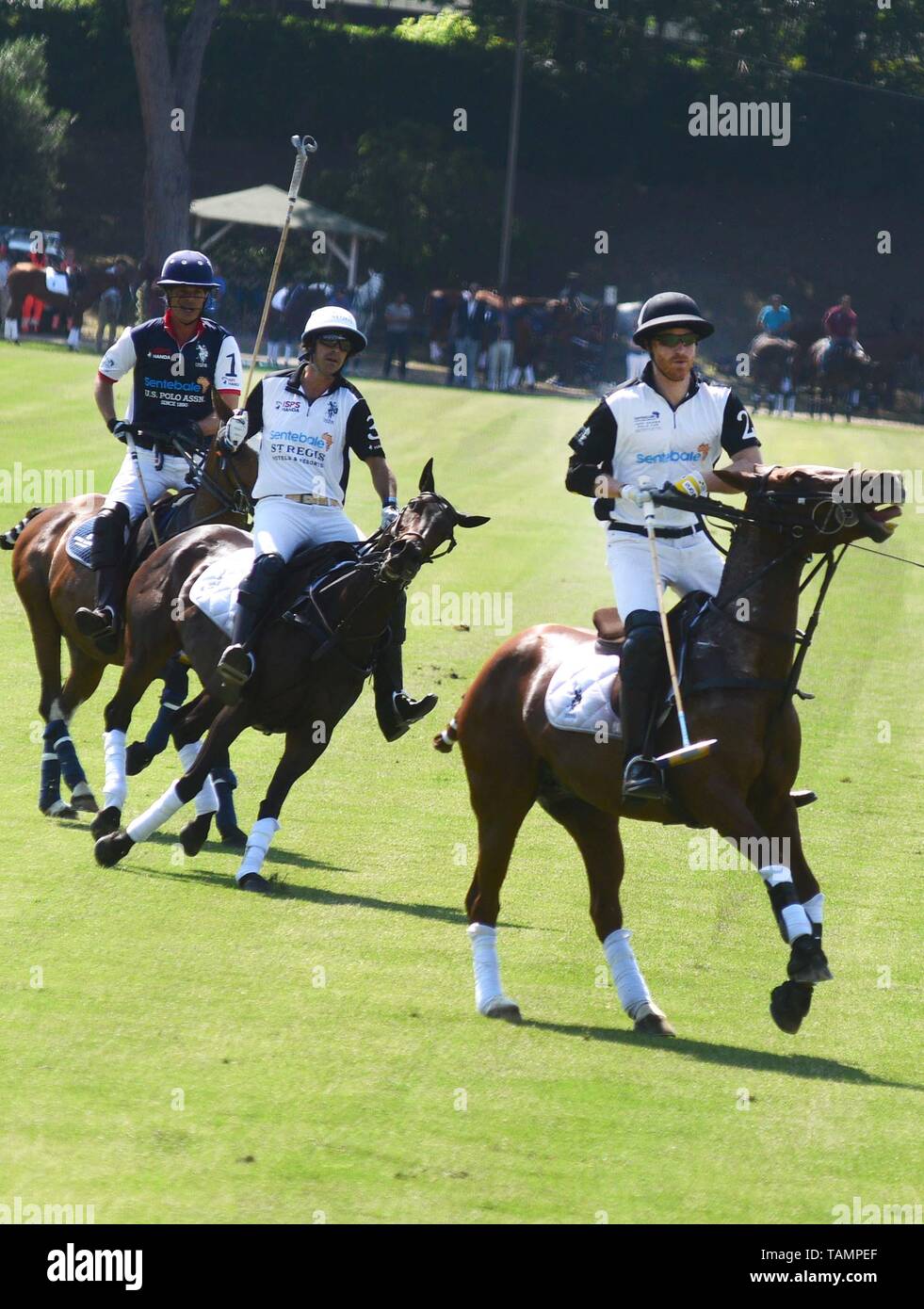 Rome, Prince Harry at the Roma Polo Club plays the Sentebale Isps Handa ...