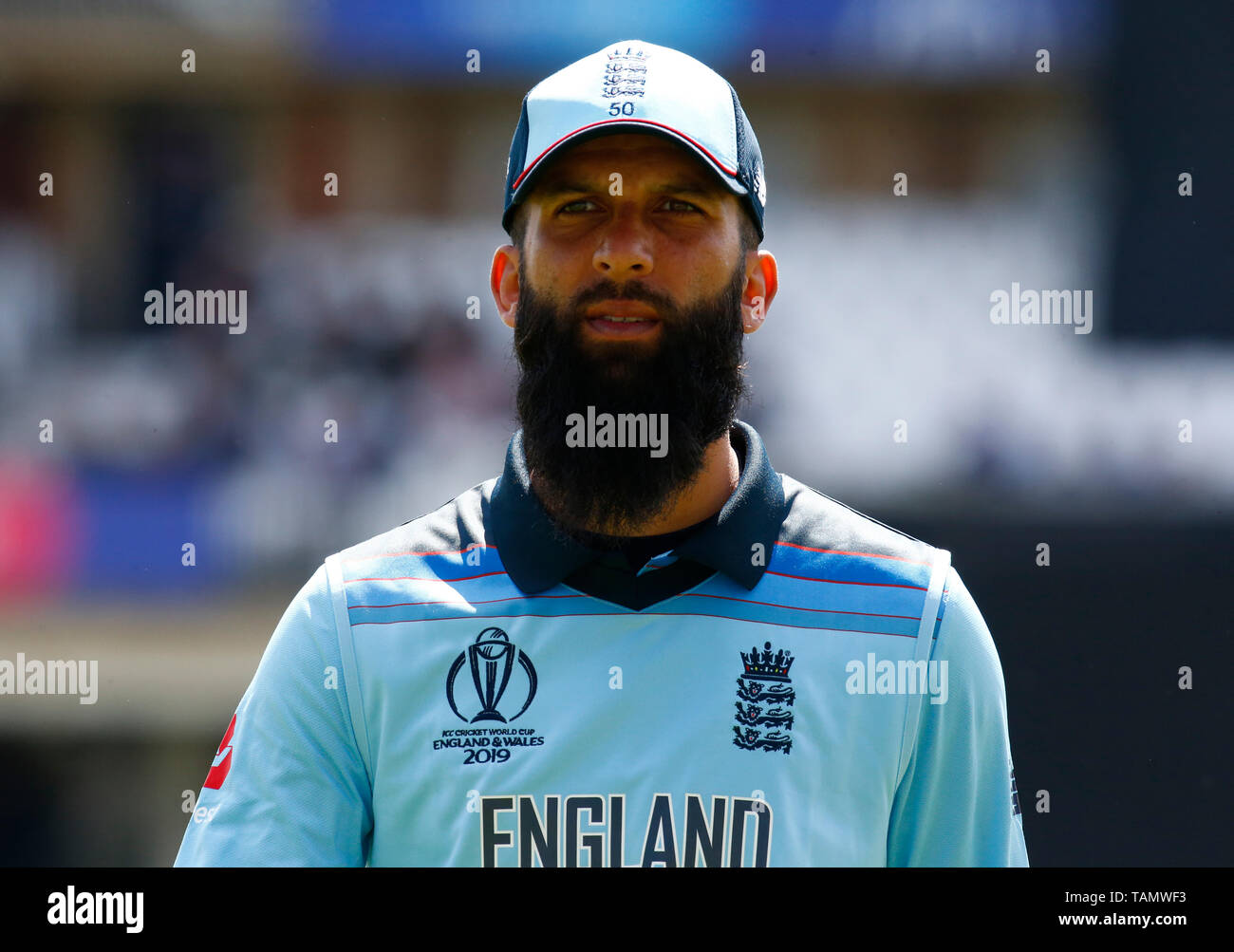 Cricket Ali High Resolution Stock Photography and Images - Alamy