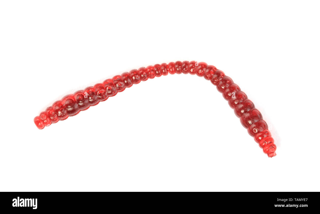 Soft Plastic EarthWorm toy Stock Photo - Alamy