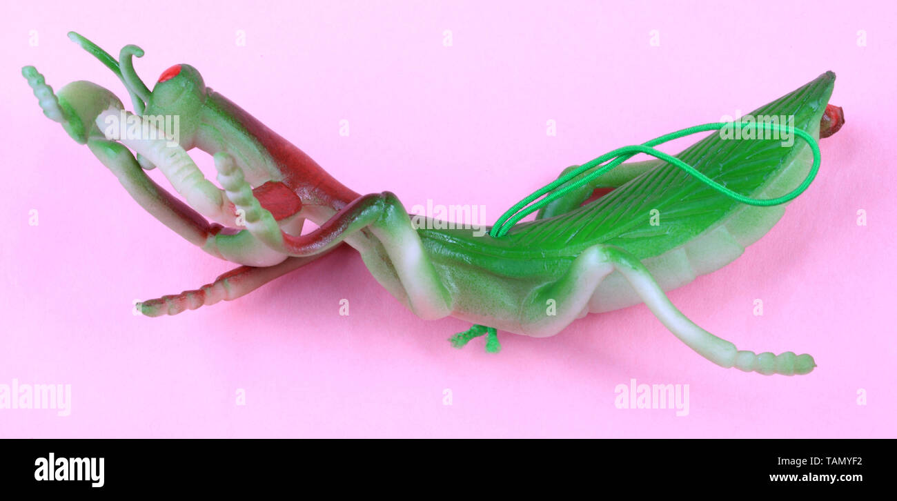 mantis toy on pink background at day Stock Photo - Alamy