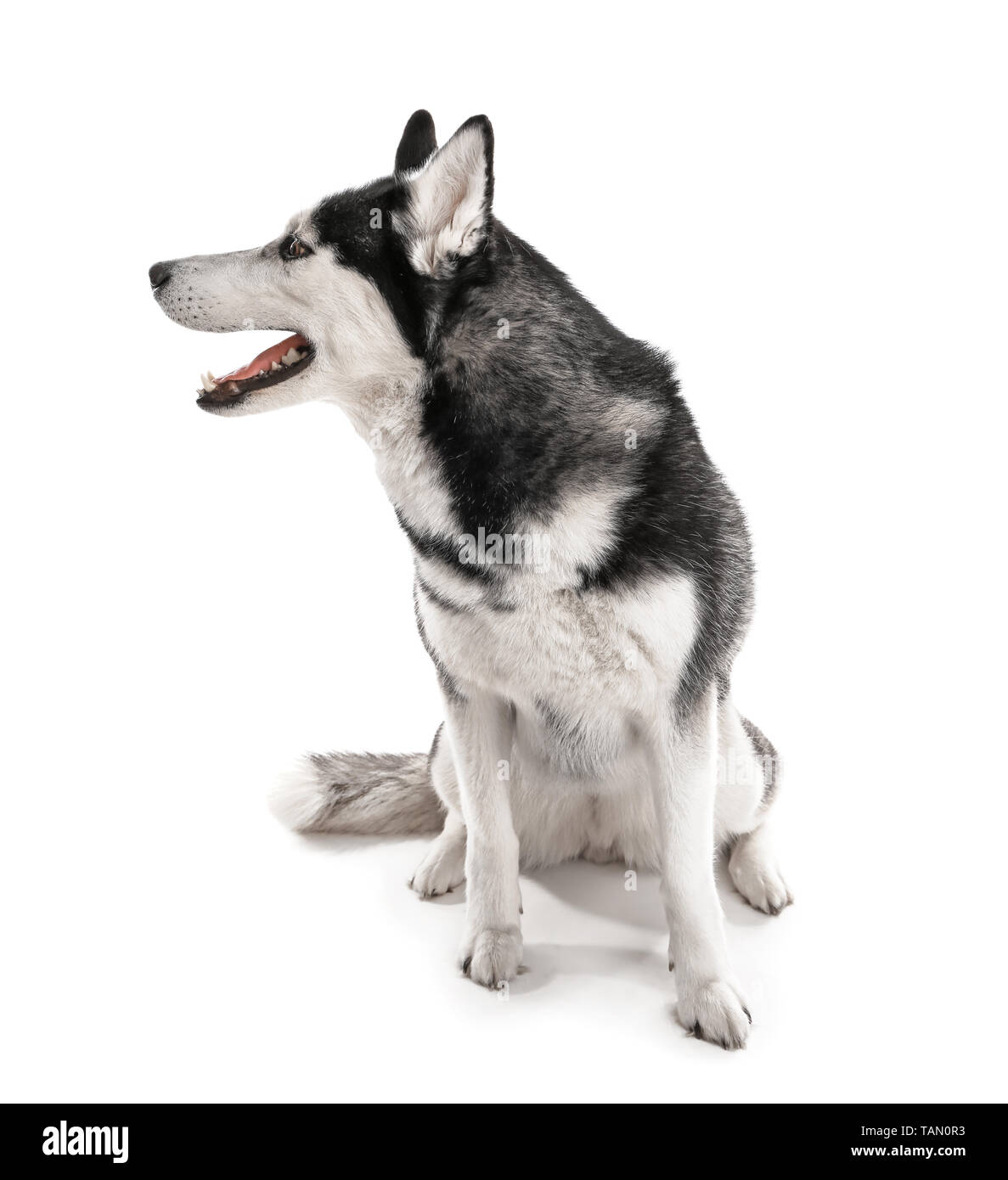 Northern alaskan eskimo Cut Out Stock Images & Pictures - Alamy