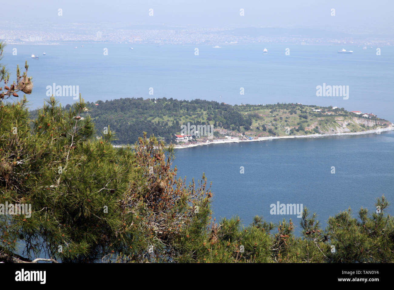 Sedef Island from Prince Island Buyukada in Marmara Sea, Istanbul ...