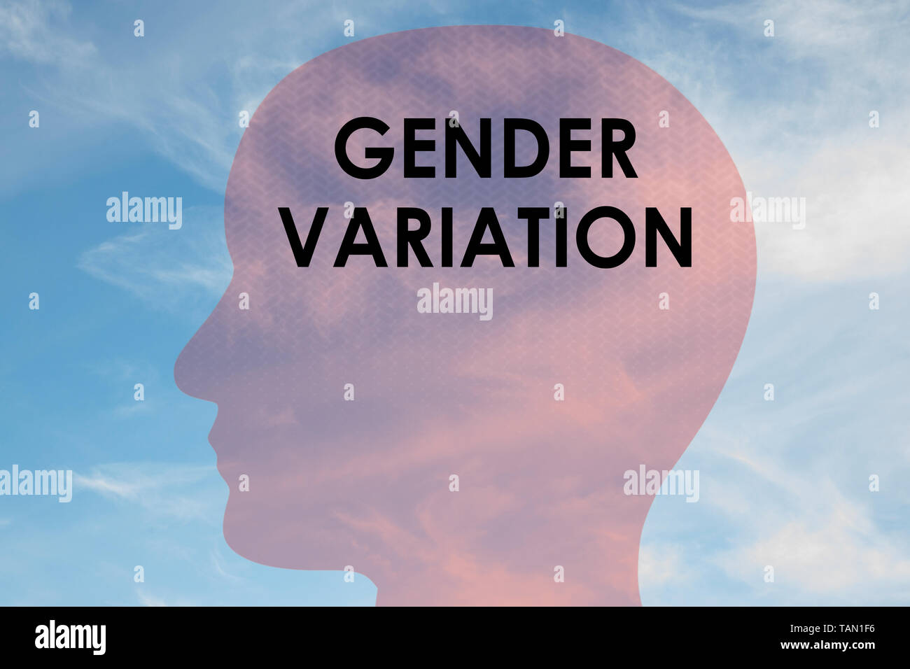 Render illustration of GENDER VARIATION title on head silhouette, with ...