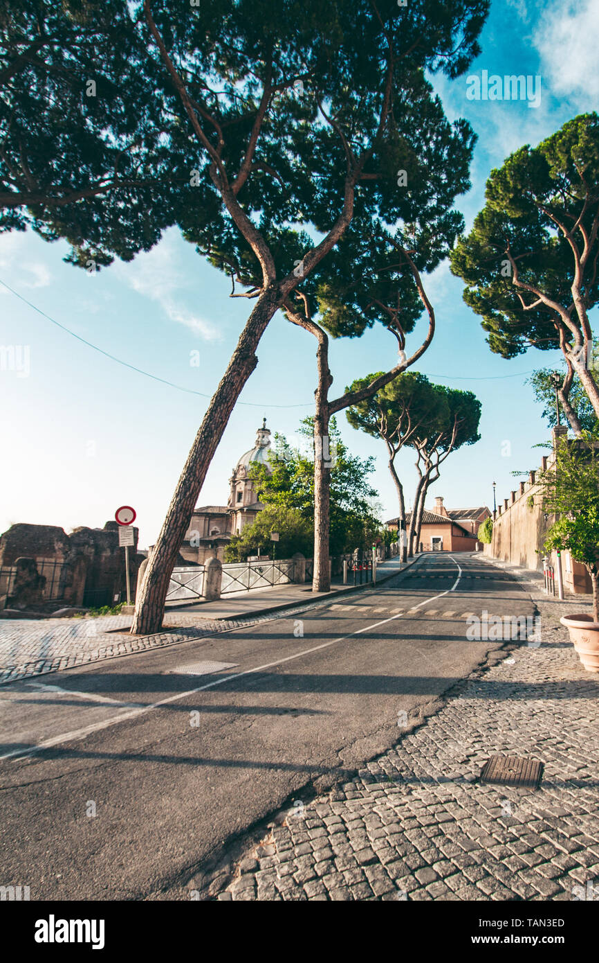 A typical landscape of Rome with tall trees and ancient buildings Stock ...