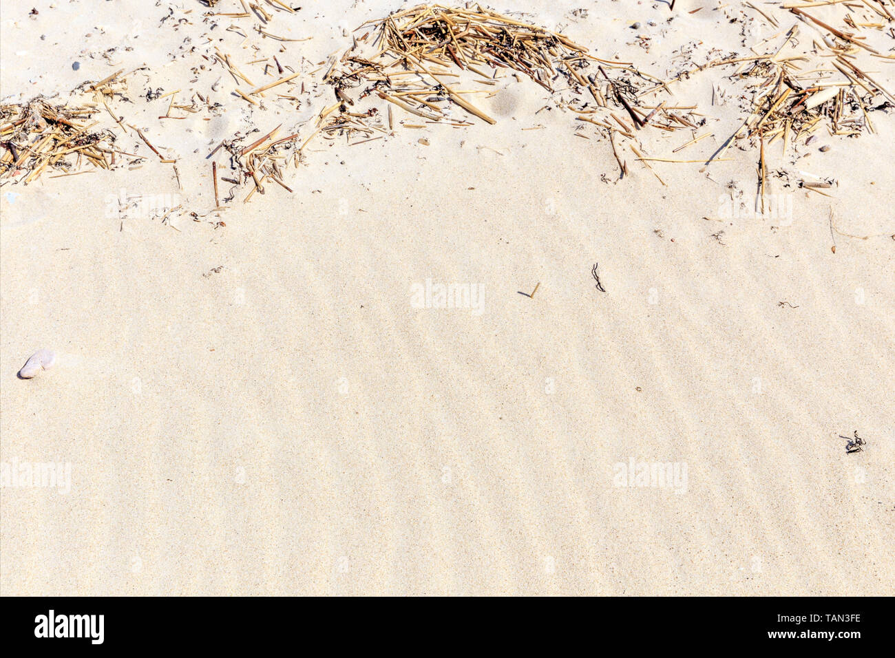 Sand texture. Sandy beach for background Stock Photo - Alamy