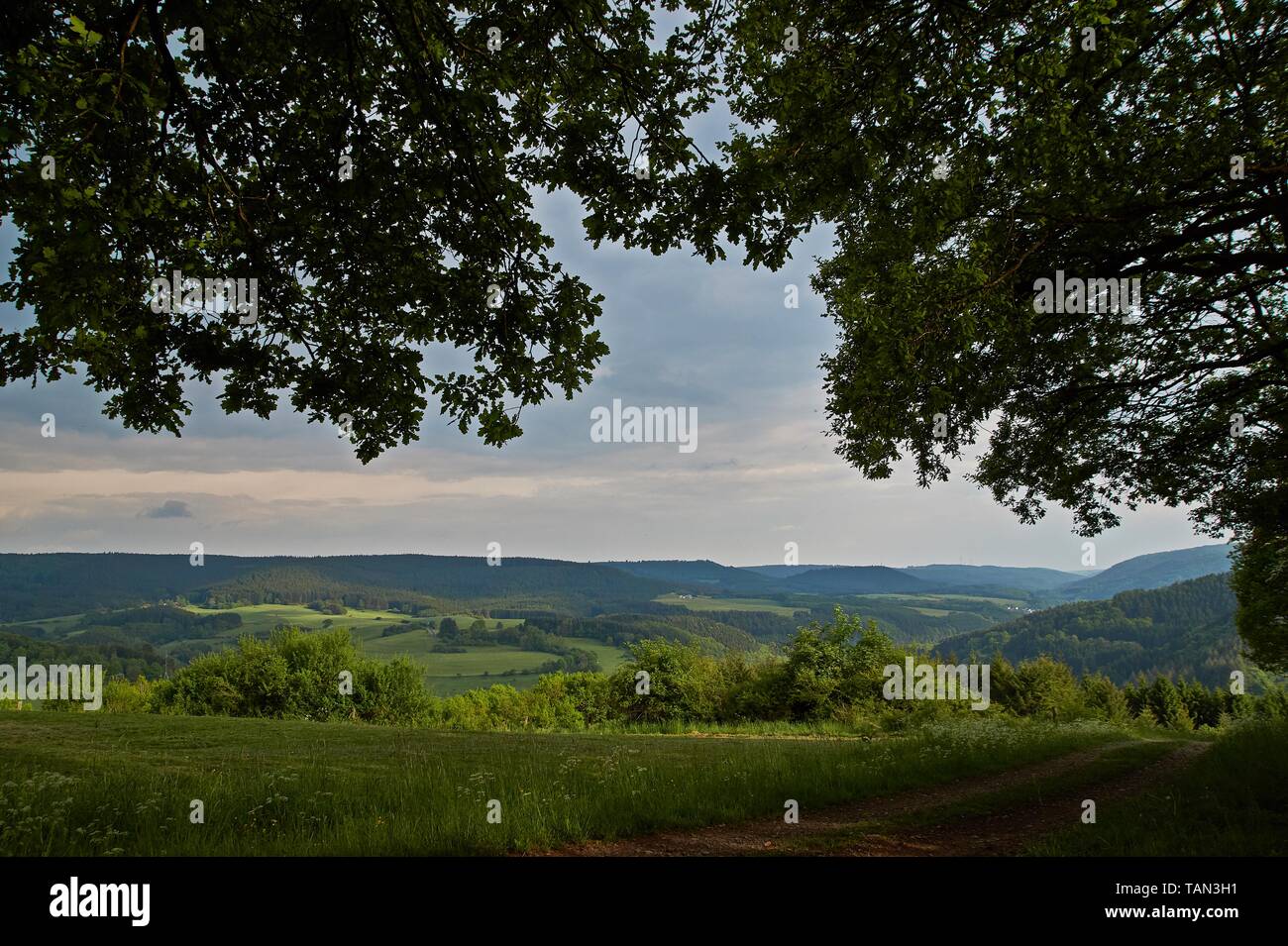 Summer landscape shot in the Eifel in Germany Stock Photo - Alamy
