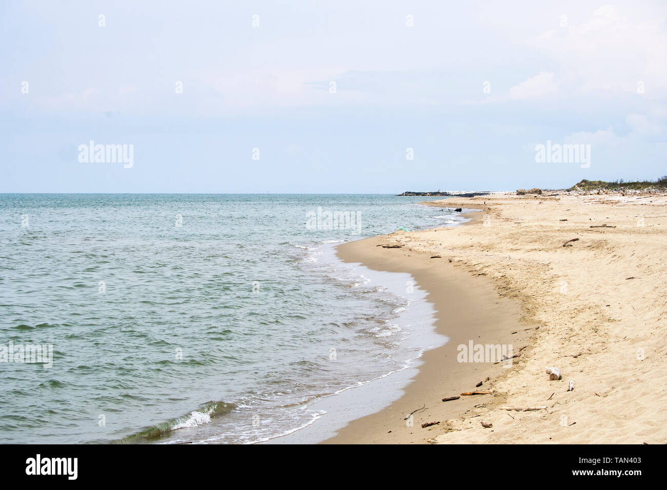 Pisa migliarino san rossore national park hi-res stock photography and ...