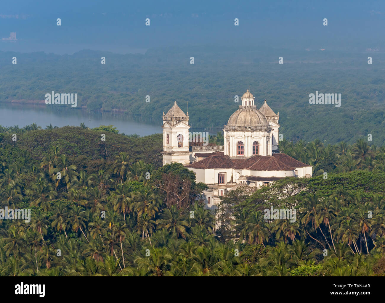 Distant view of St. Cajetan Church among palm trees, Old Goa, India ...