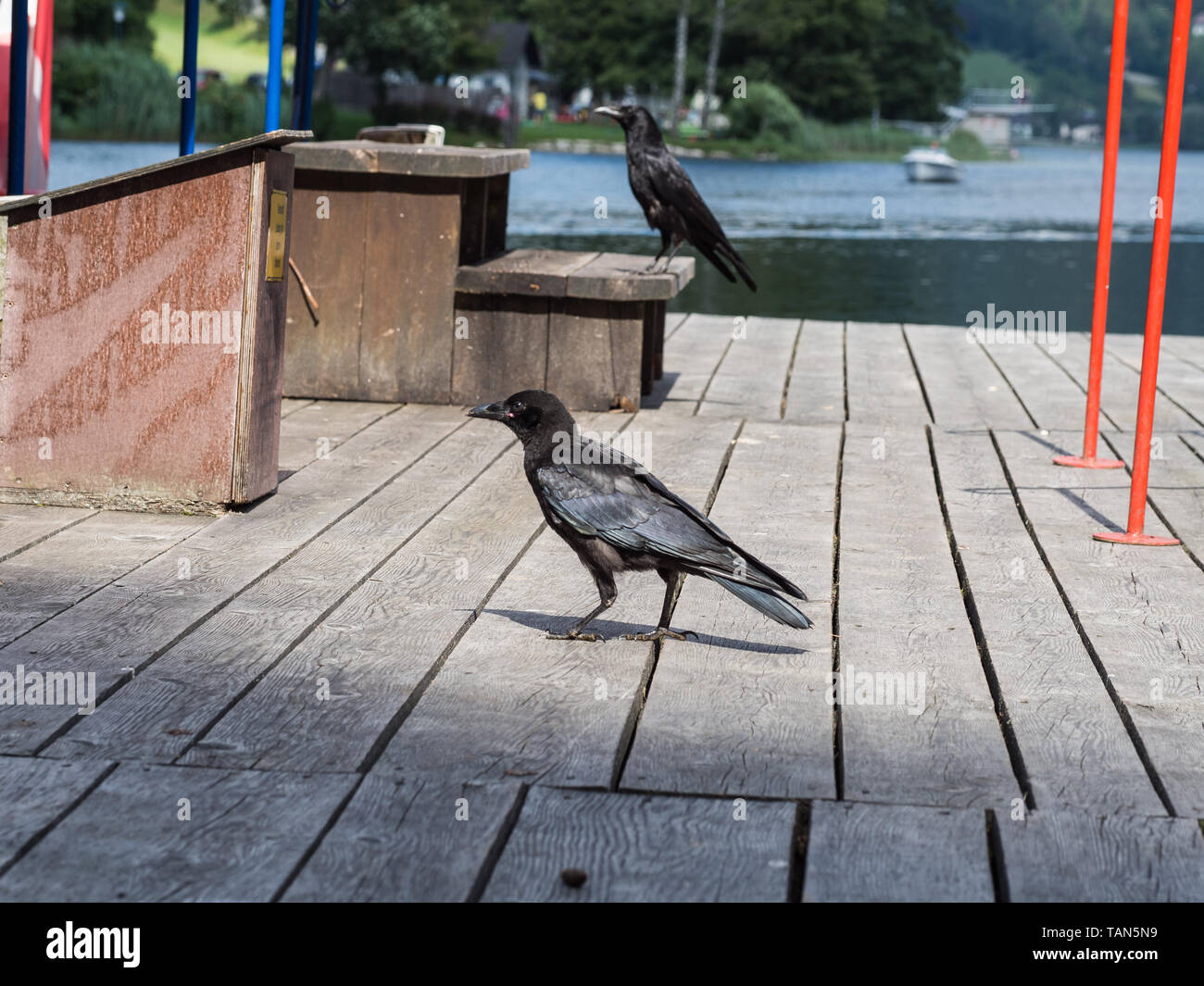 Raving dock hi-res stock photography and images - Alamy