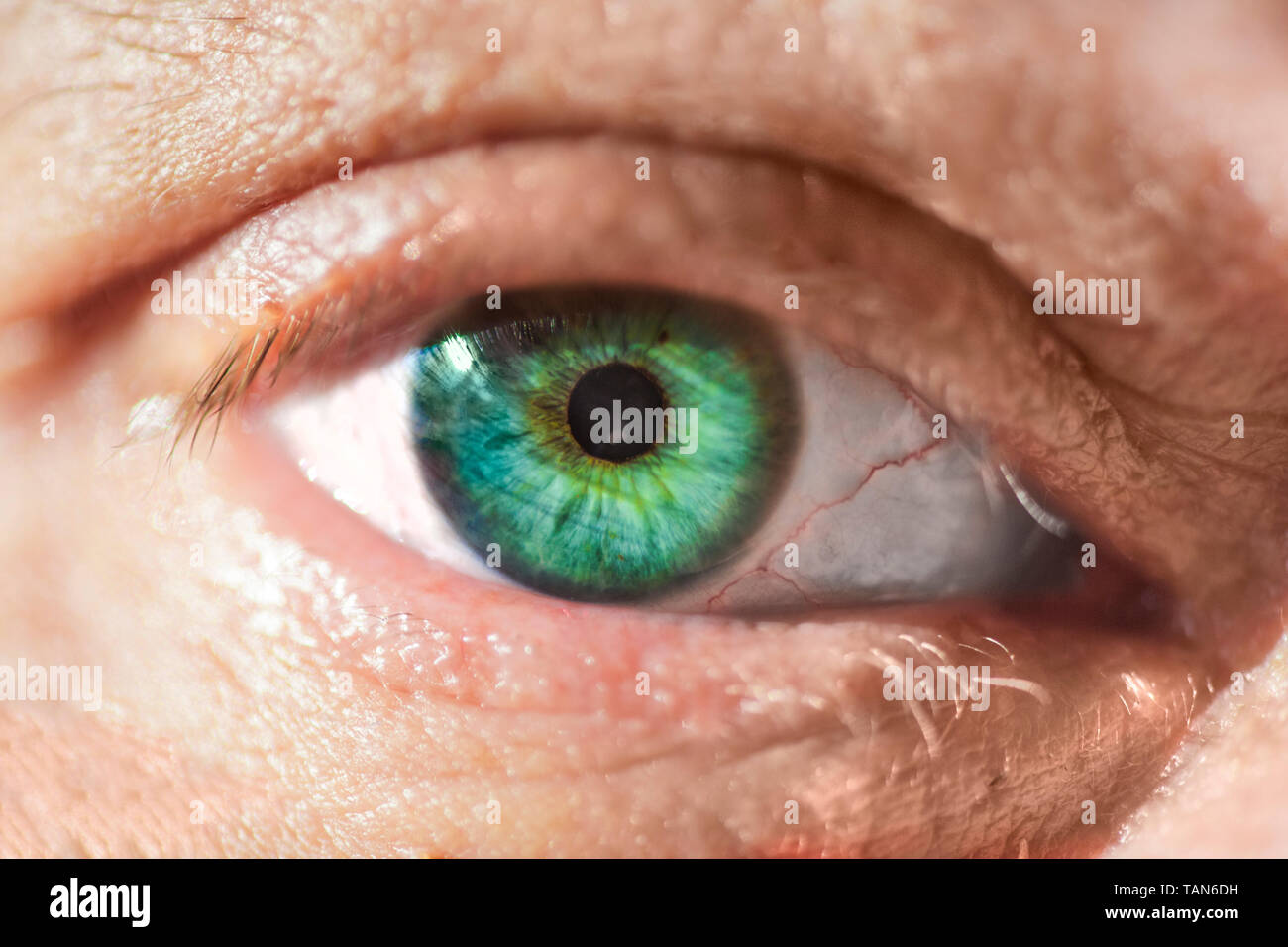 Human eye close up hi-res stock photography and images - Alamy