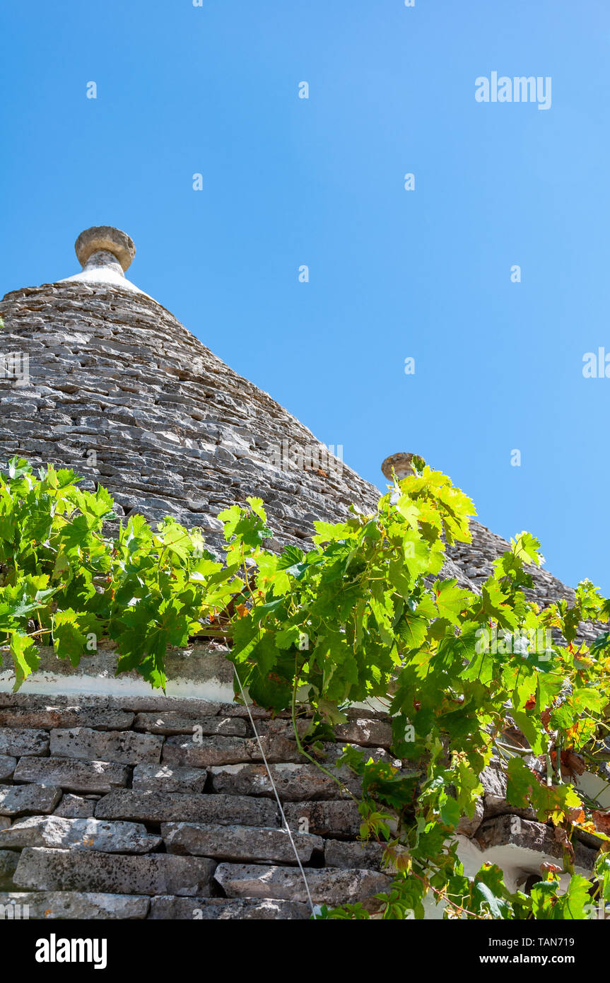 Alberobello, Italy. The picturesque village of trulli. Stone houses ...
