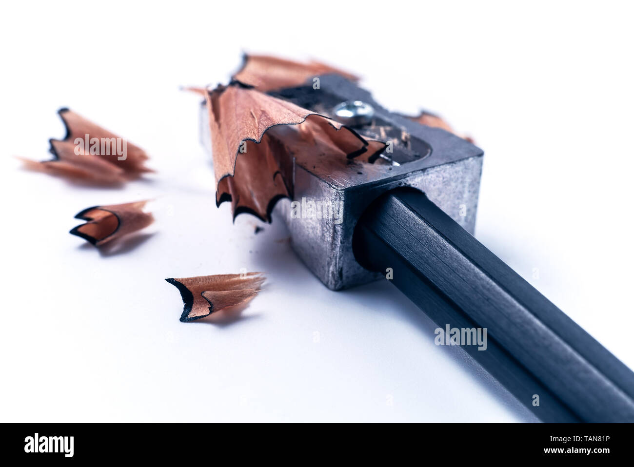 Macro closeup of sharpening a pencil with a grey metal pencil sharpener ...