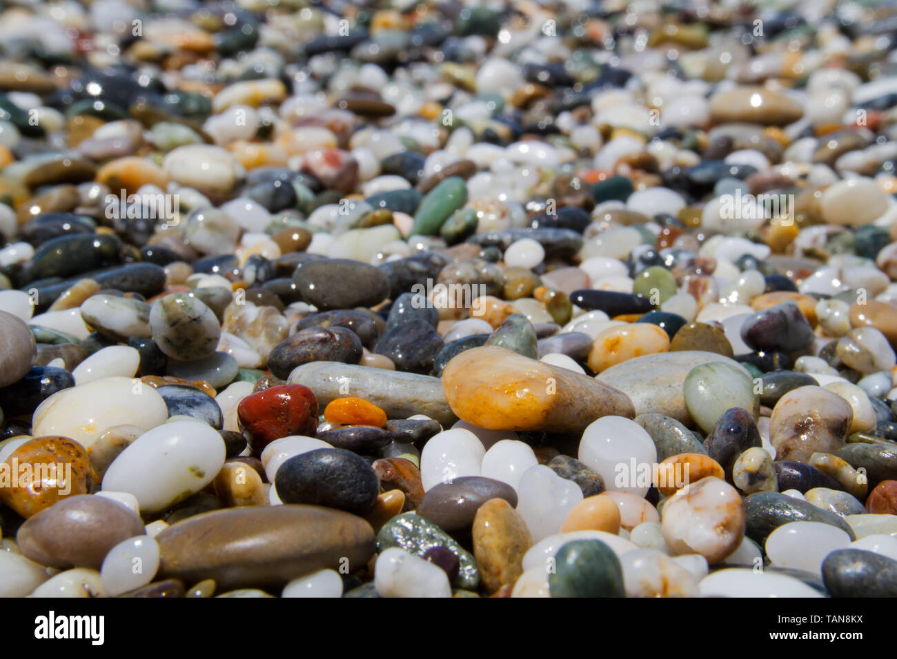 Colorful small rounded wet pebbles on a shingle beach Stock Photo - Alamy