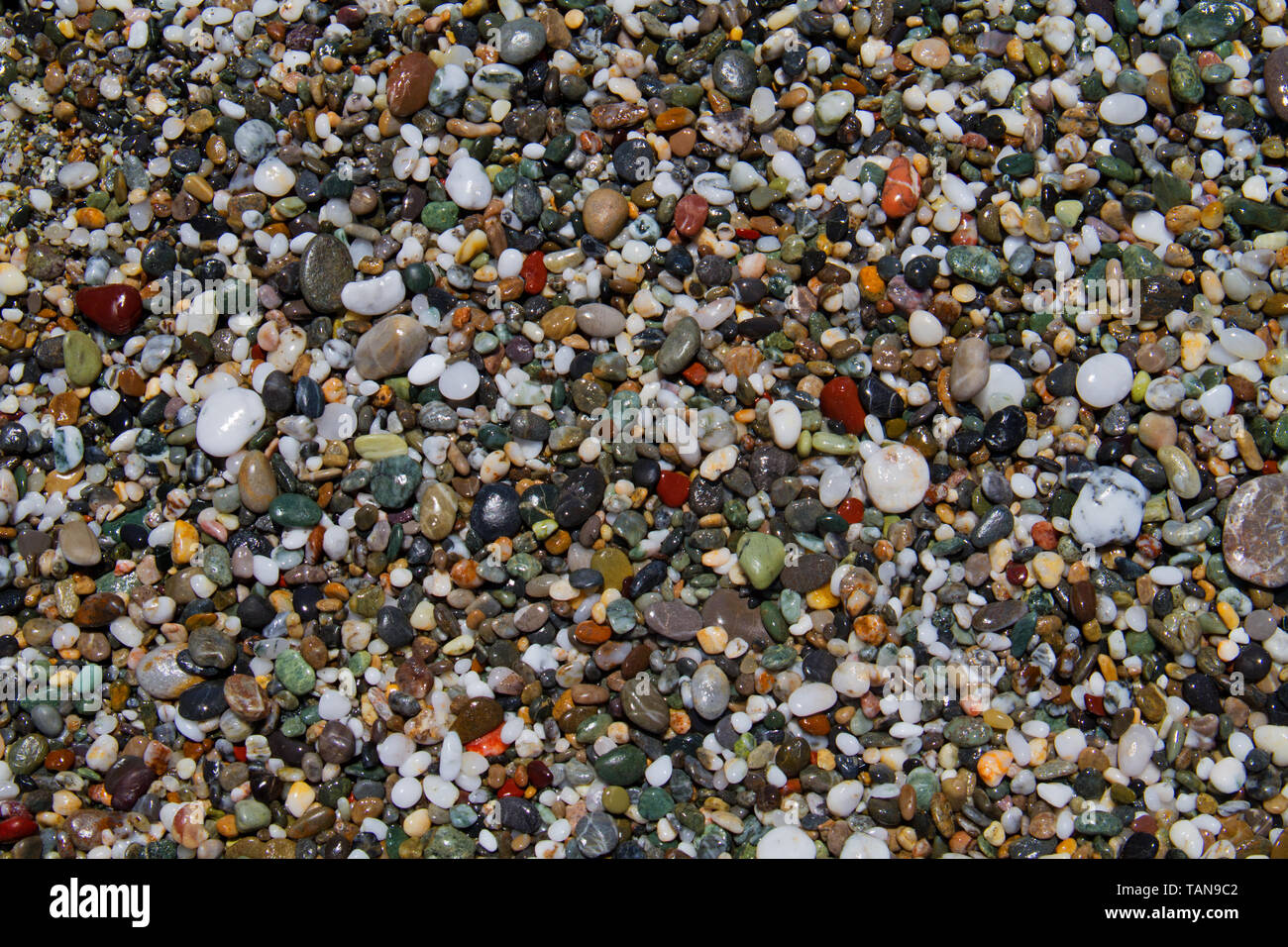 Colorful small rounded wet pebbles on a shingle beach Stock Photo - Alamy