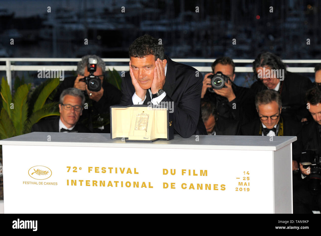 Palme D'Or 72nd Festival de Cannes Stock Photo - Alamy