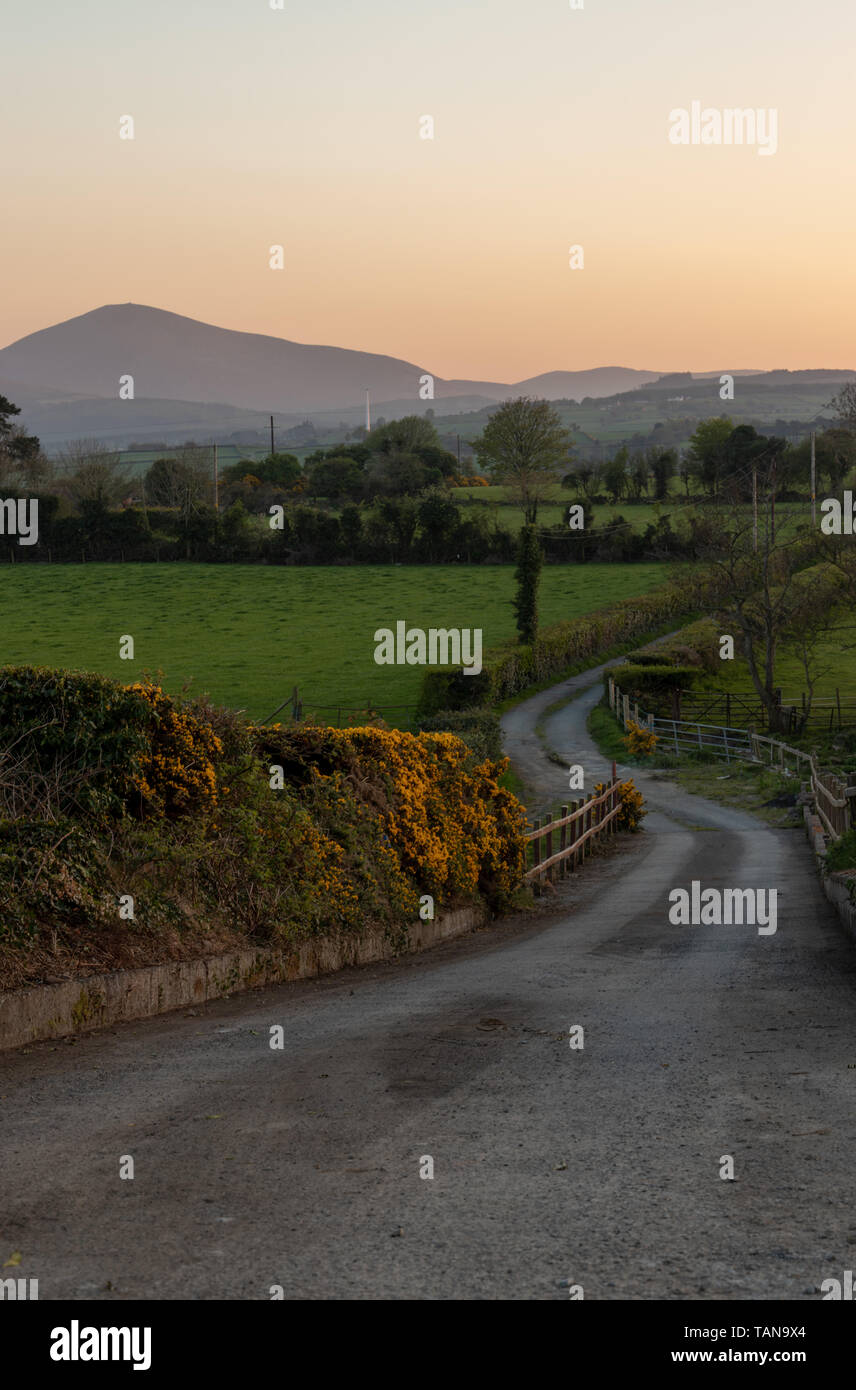 Mourne granite hi-res stock photography and images - Alamy